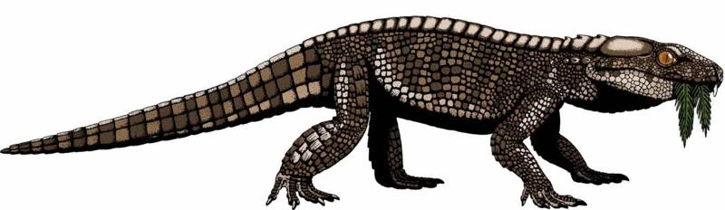 Sphagesaurus | Dinopedia | Fandom