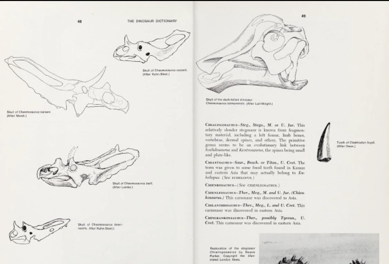 Chienkosaurus | Dinopedia | Fandom