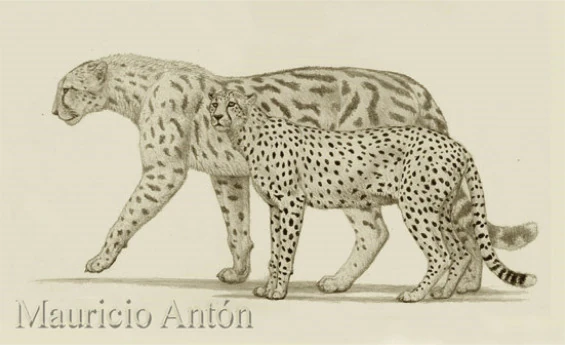 Giant cheetah | Dinopedia | Fandom