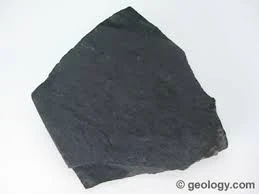 Three Forks Group | Dinopedia | Fandom