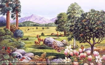 Pleistocene Epoch Plants