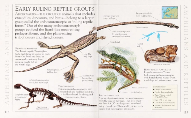 Megalancosaurus | Dinopedia | Fandom