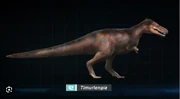 Timurlengia | Dinopedia | Fandom