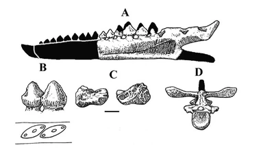 Discuss Everything About Dinopedia | Fandom