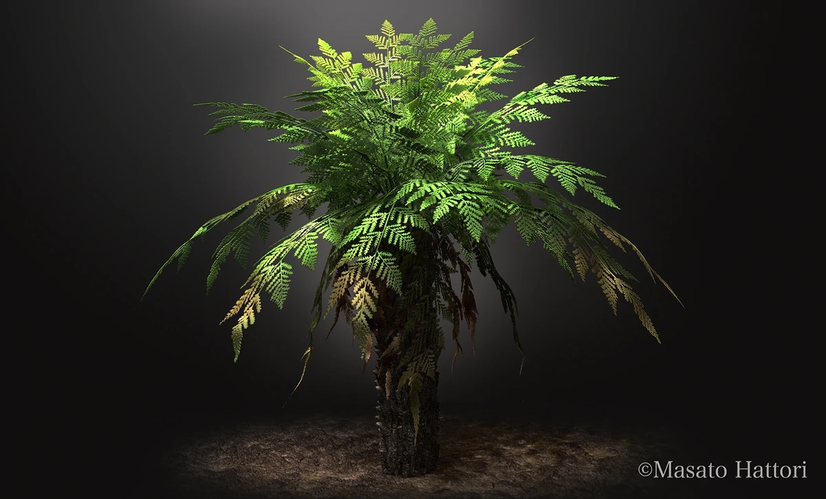 Coniopteris | Dinopedia | Fandom