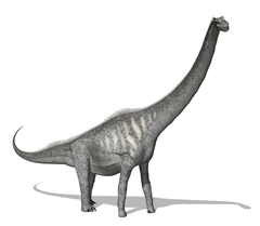 Sauroposeidon | Dinopedia | Fandom