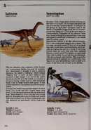 Saltopus | Dinopedia | Fandom