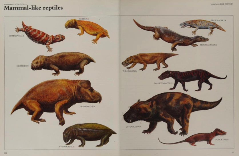 Dicynodon | Dinopedia | Fandom