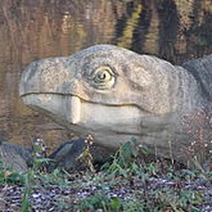 Discuss Everything About Dinopedia | Fandom
