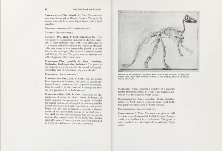 Claosaurus | Dinopedia | Fandom