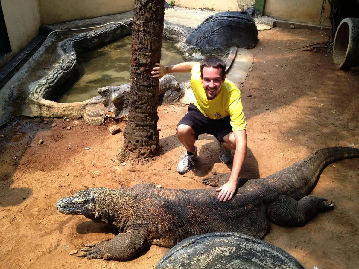 User blog:RyanBurns1988/DINOSAUR | Dinopedia | Fandom