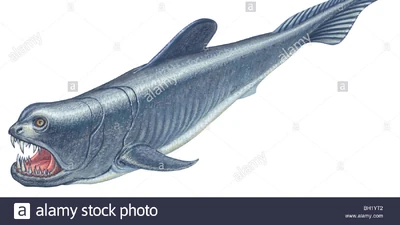 Discuss Everything About Dinopedia | Fandom