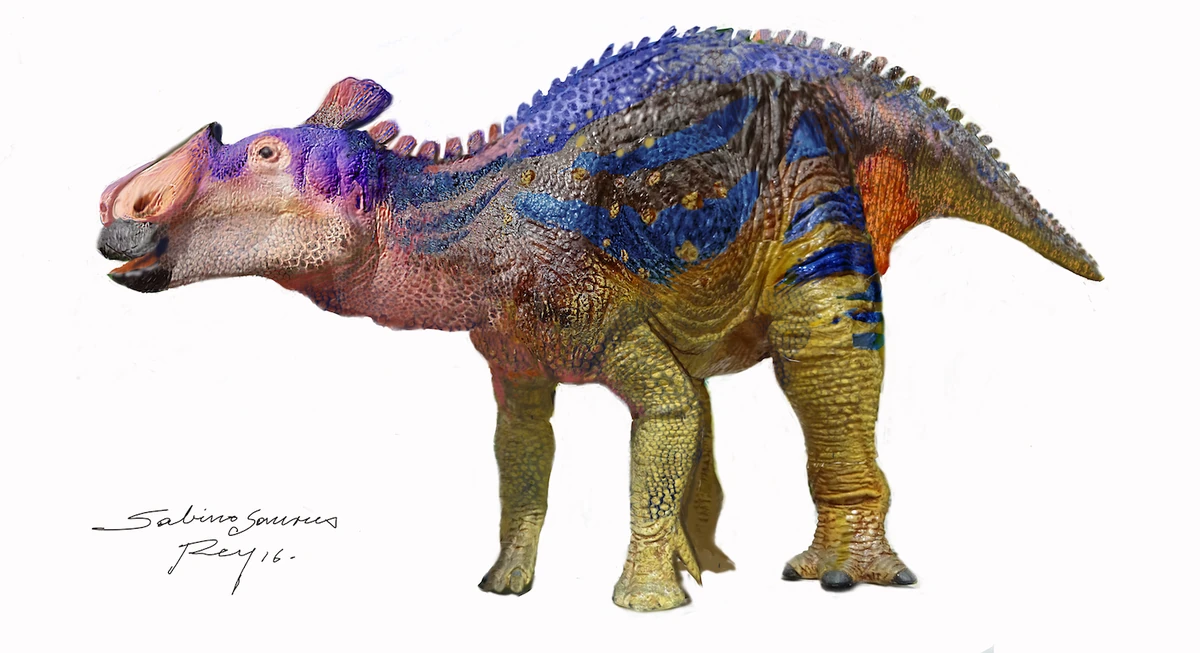 Sabinosaurus | Dinopedia | Fandom