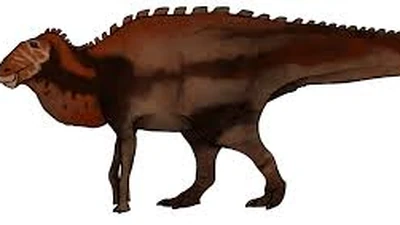 Discuss Everything About Dinopedia | Fandom