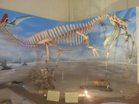 Irritator | Dinopedia | Fandom