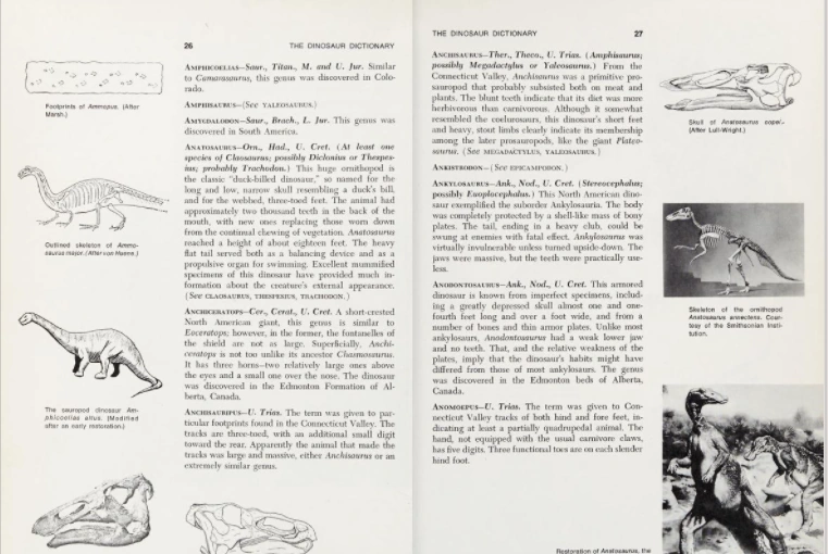 Anchisauripus | Dinopedia | Fandom