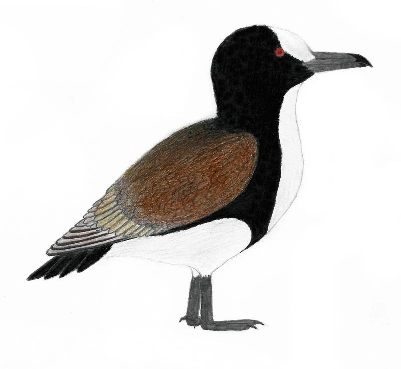 Ambiortus | Dinopedia | Fandom