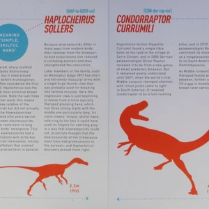 Discuss Everything About Dinopedia | Fandom