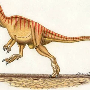 Discuss Everything About Dinopedia | Fandom