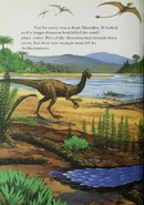 Teinurosaurus | Dinopedia | Fandom