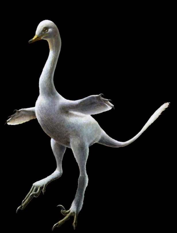 News:Home | Dinopedia | Fandom