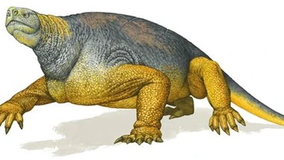 Discuss Everything About Dinopedia | Fandom