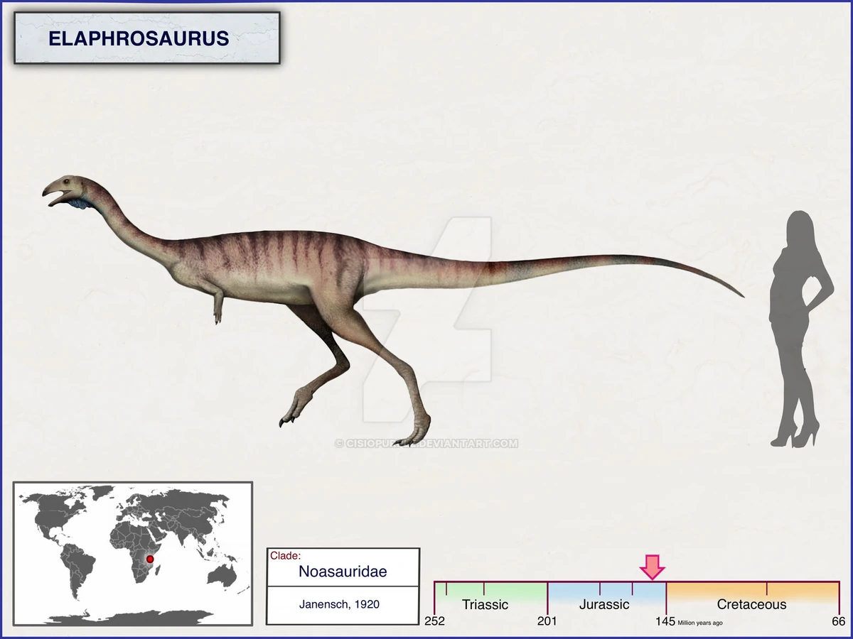 Elaphrosaurus | Dinopedia | Fandom