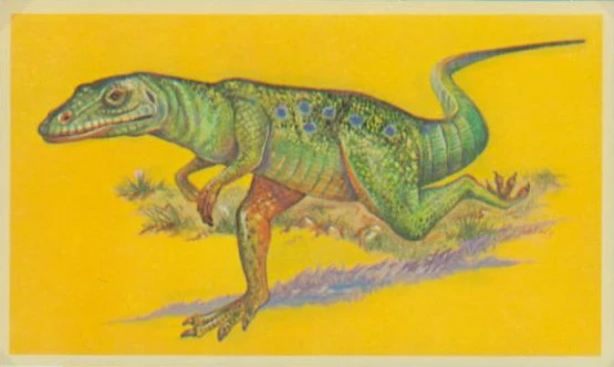 Saltoposuchus | Dinopedia | Fandom