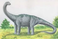 Kotasaurus | Dinopedia | Fandom