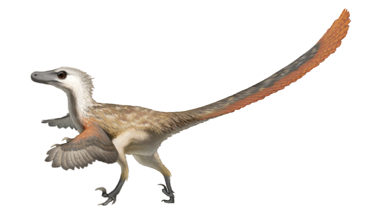 Discuss Everything About Dinopedia | Fandom