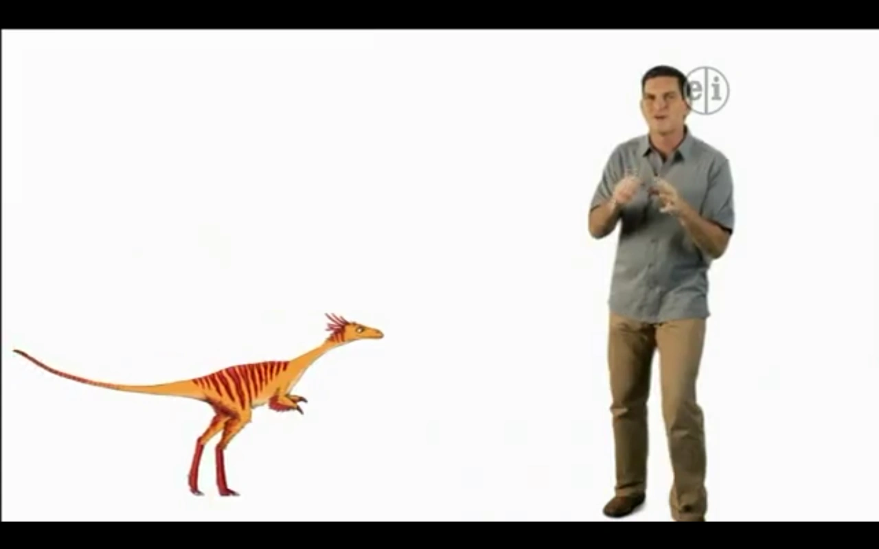 Alvarezsaurus | Dinopedia | Fandom