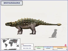 Minotaurasaurus | Dinopedia | Fandom