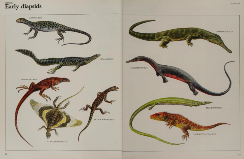 Thadeosaurus | Dinopedia | Fandom