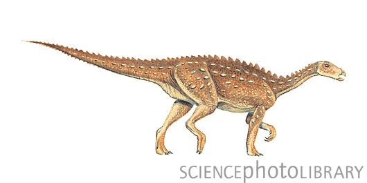 Lusitanosaurus | Dinopedia | Fandom