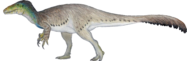 Maip | Dinopedia | Fandom