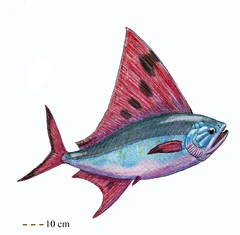 Bananogmius | Dinopedia | Fandom