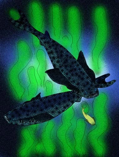 Thelodus | Dinopedia | Fandom