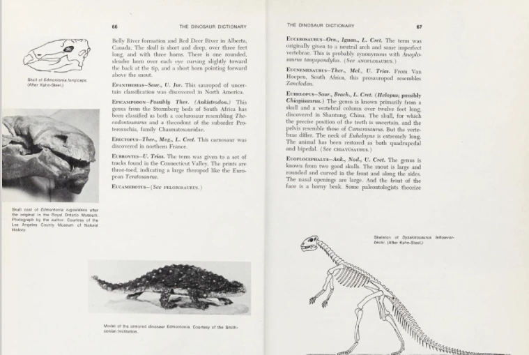 Erectopus | Dinopedia | Fandom