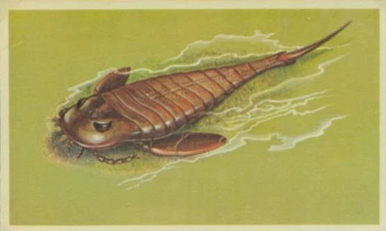 Eurypterida | Dinopedia | Fandom