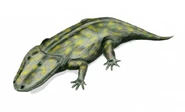 Eryops | Dinopedia | Fandom