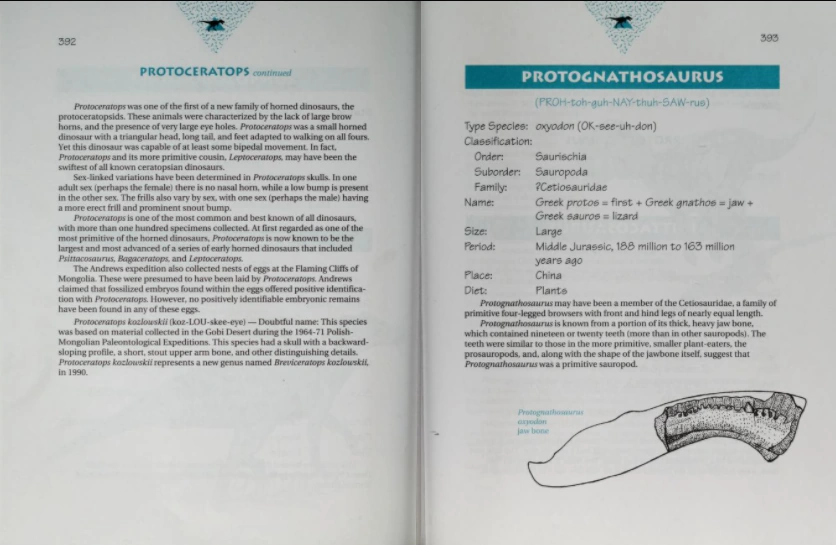 Protognathosaurus | Dinopedia | Fandom