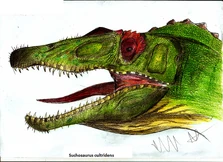 Suchosaurus | Dinopedia | Fandom