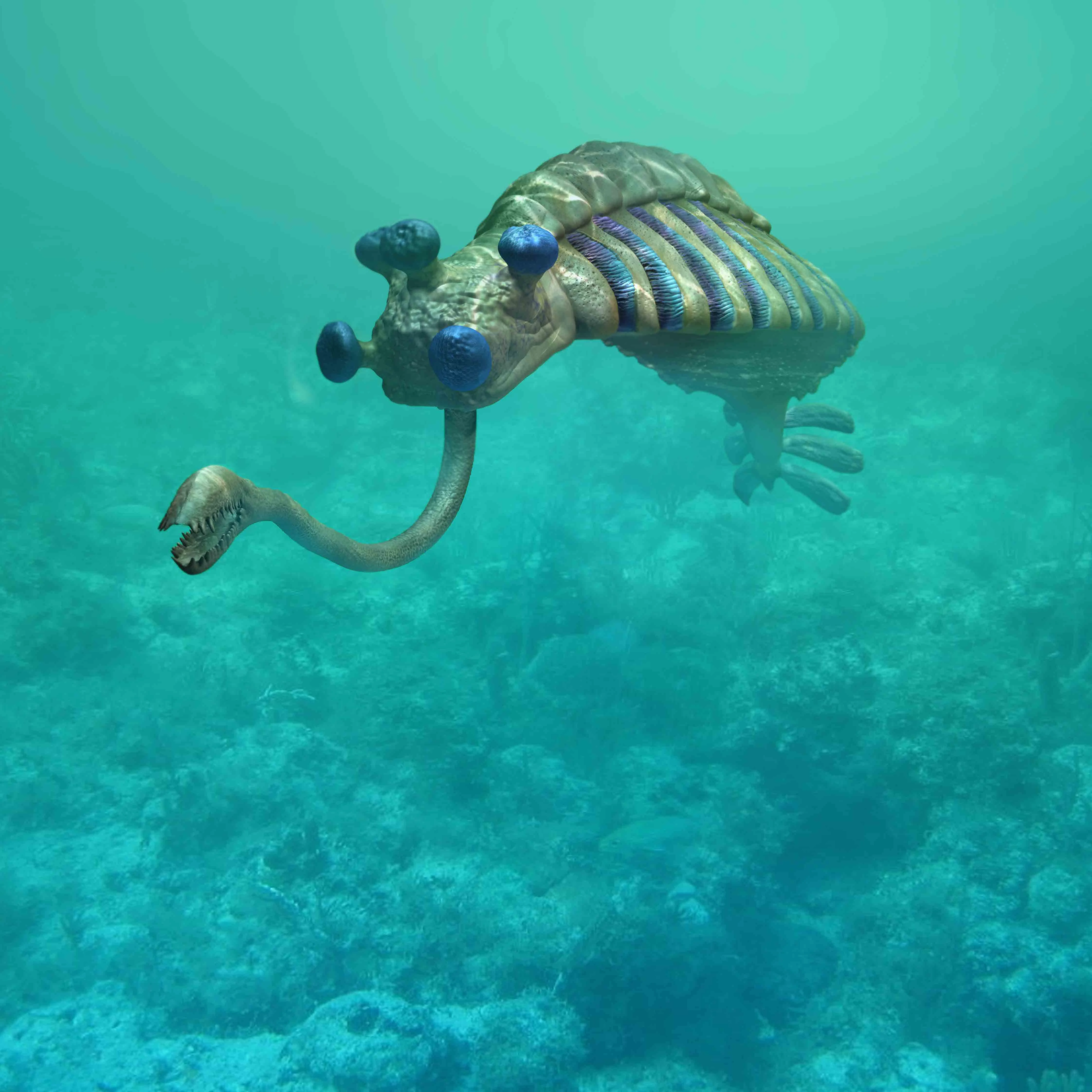 Opabinia Size