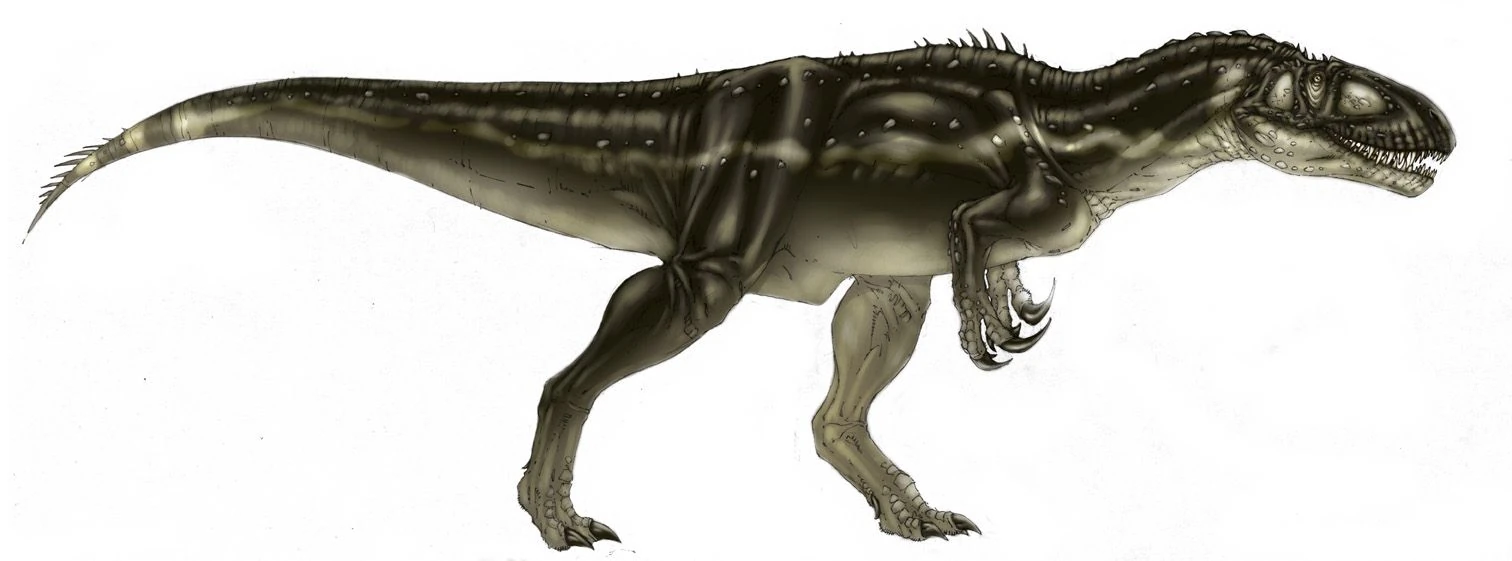 Discuss Everything About Dinopedia | Fandom