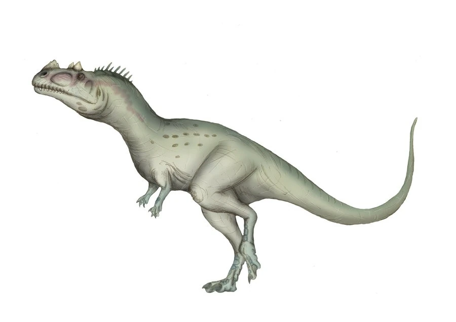 Genyodectes | Dinopedia | Fandom