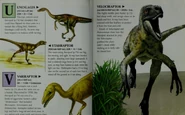Variraptor | Dinopedia | Fandom