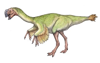 Conchoraptor | Dinopedia | Fandom