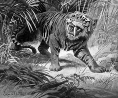 Machairodus | Dinopedia | Fandom
