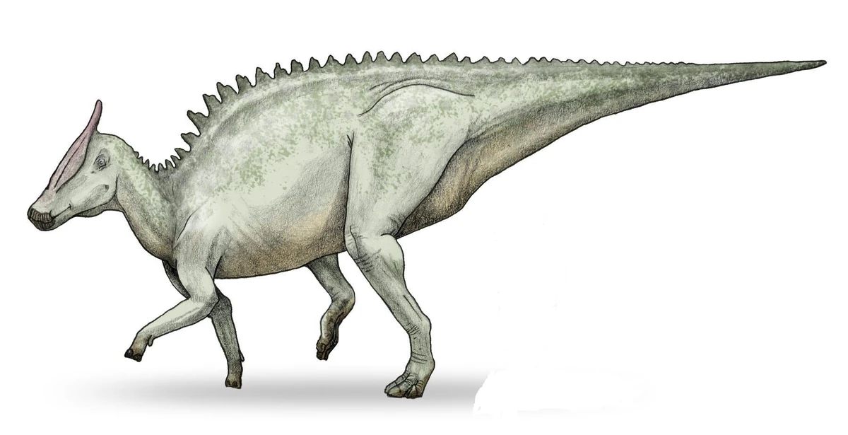 Saurolophus | Dinopedia | Fandom