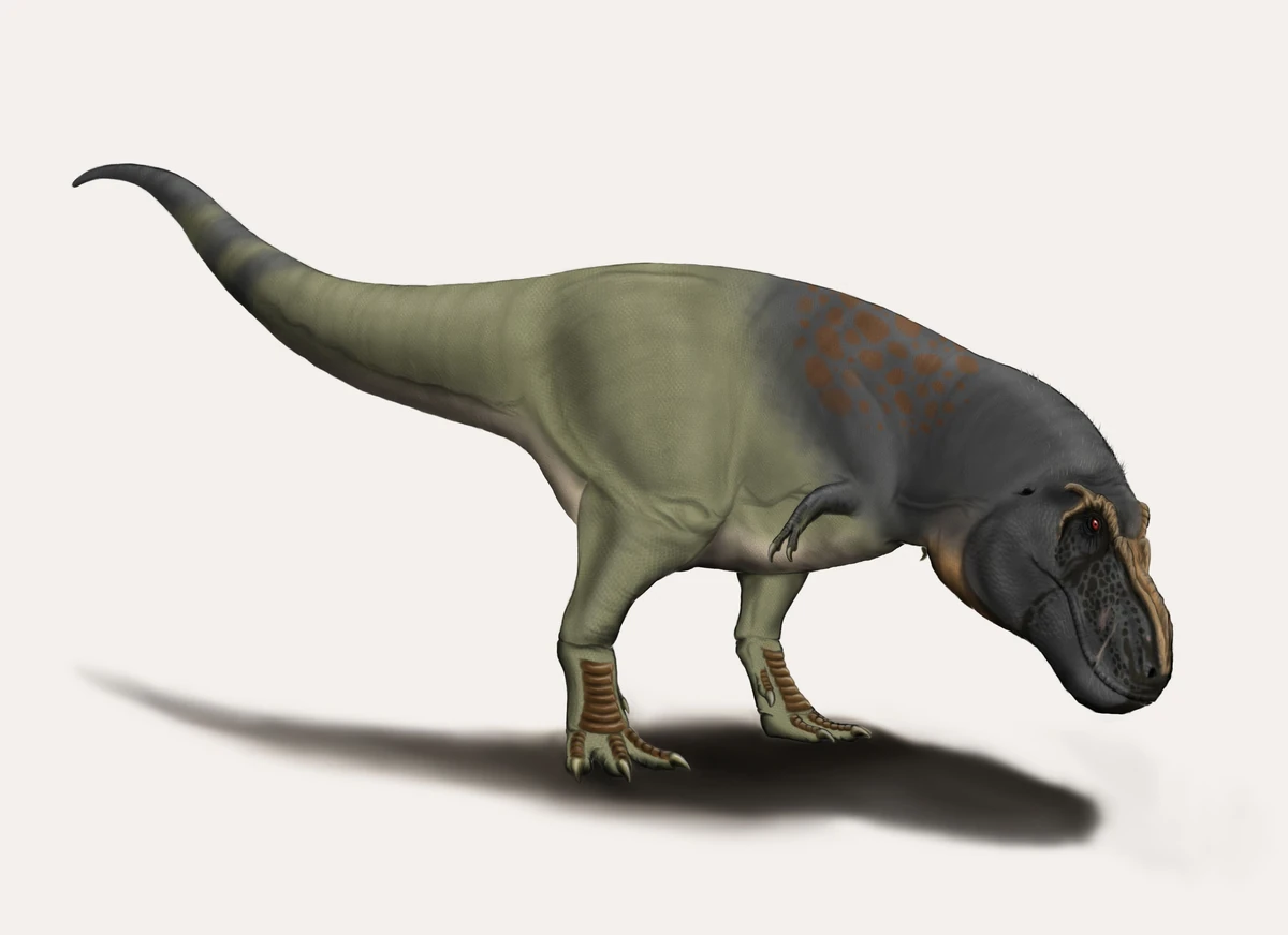 Tarbosaurus | Dinopedia | Fandom